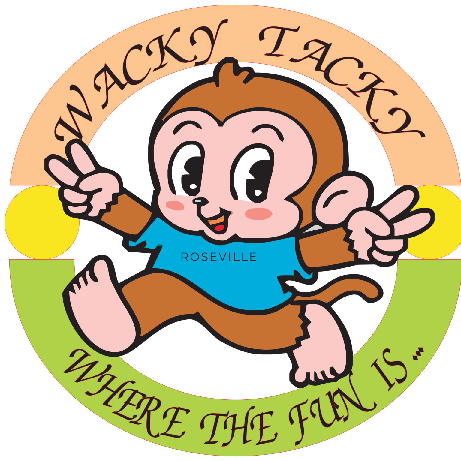 Wacky Tacky - Kids Indoor playground & Birthday parties.